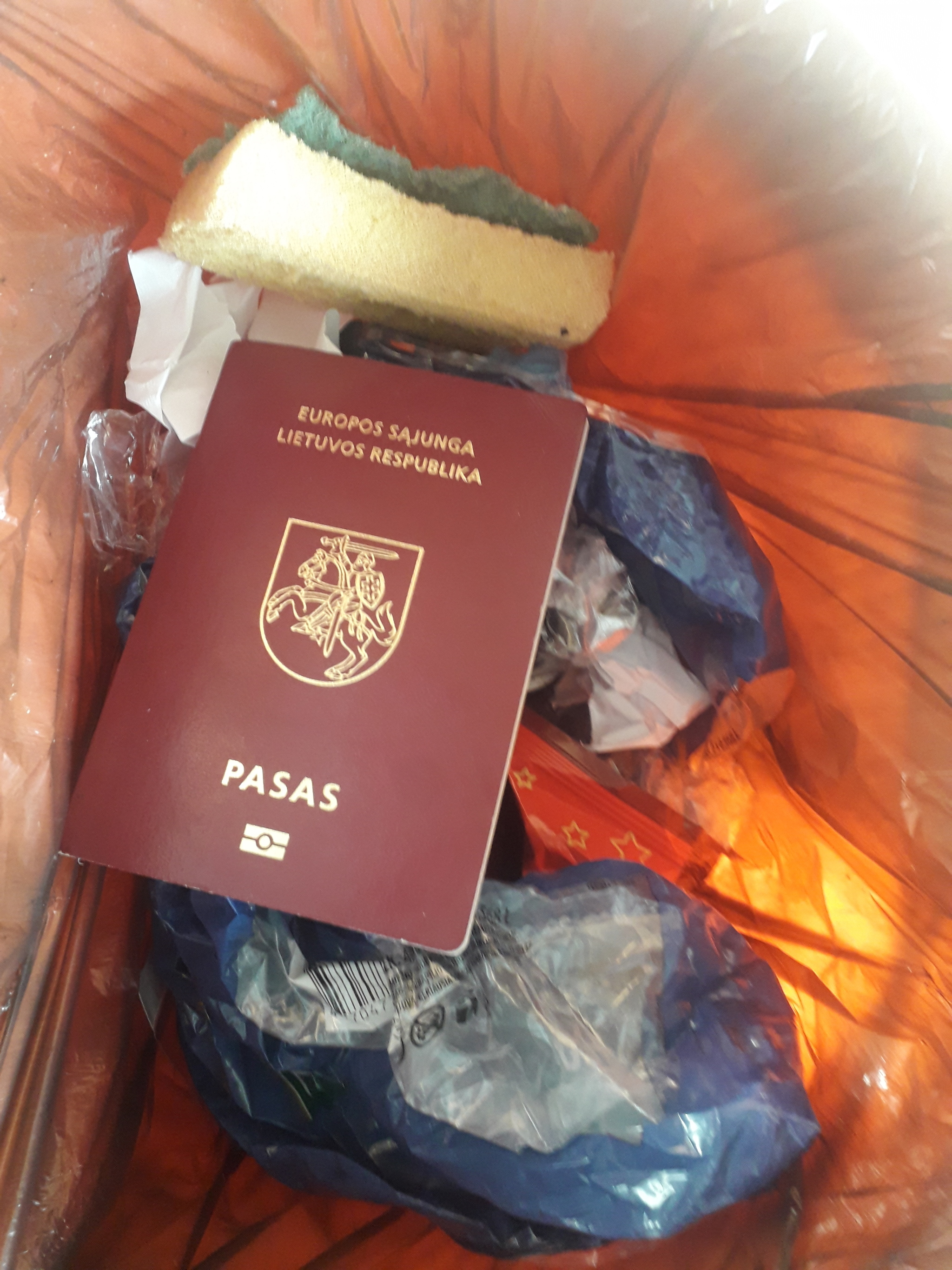 All you need to know about Lithuania before visiting it as a tourist ...