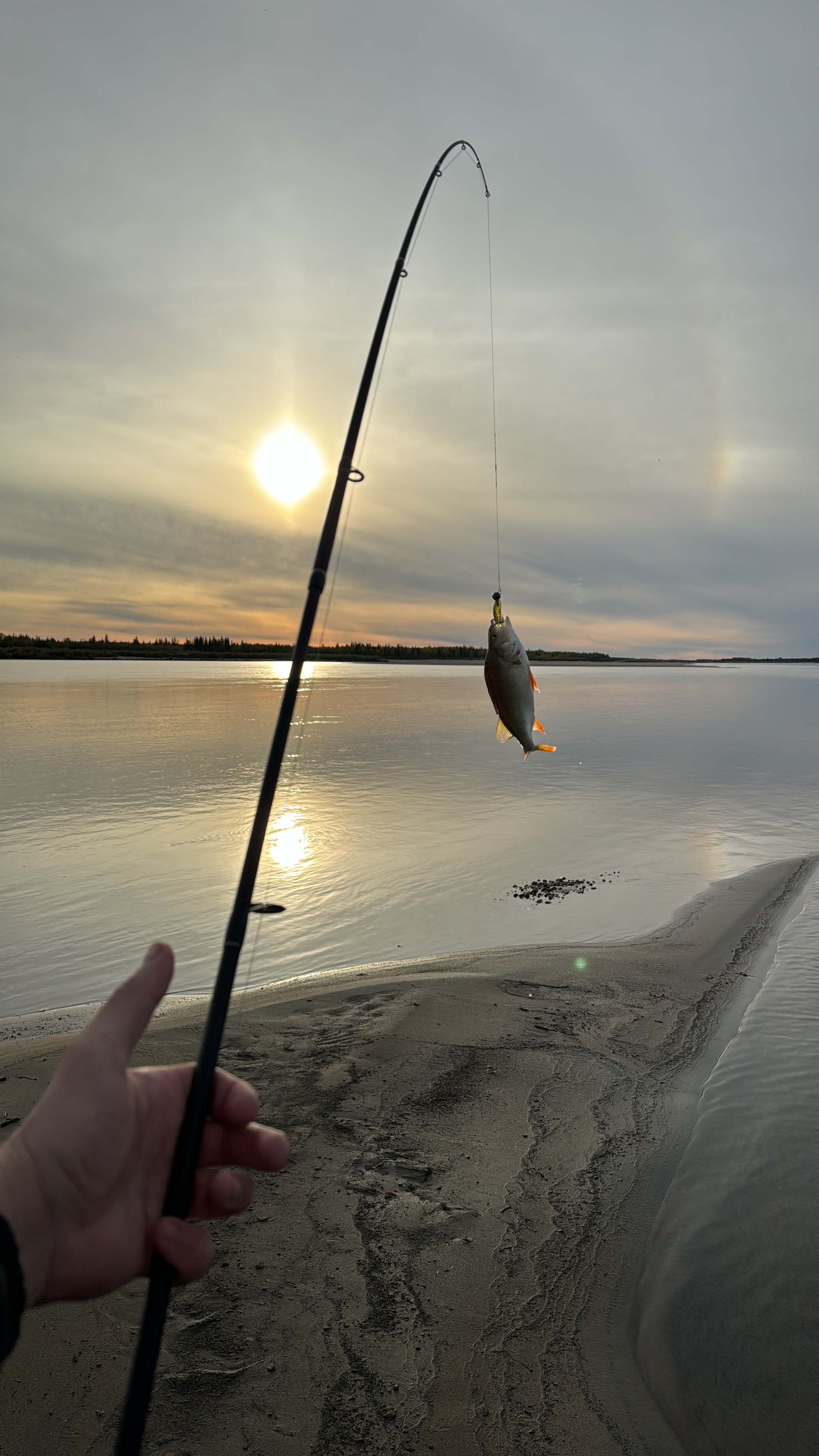 Что-что, а вот рыбалка у нас прекрасная! - 23.12.25 17:01 | Пикабу