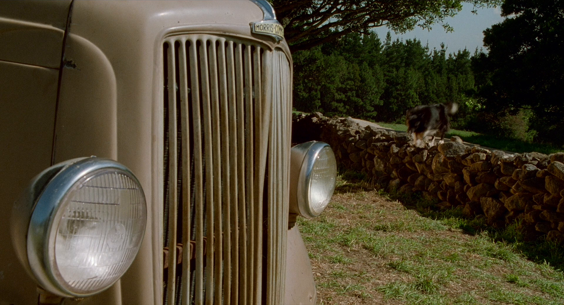 Бэйб: Четвероногий малыш (1995) - вышла реставрированная (REMASTERED ...