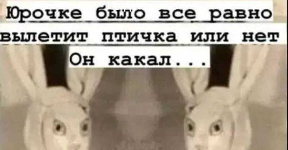 Бедный Юрочка) - 09.01.26 17:55 | Пикабу